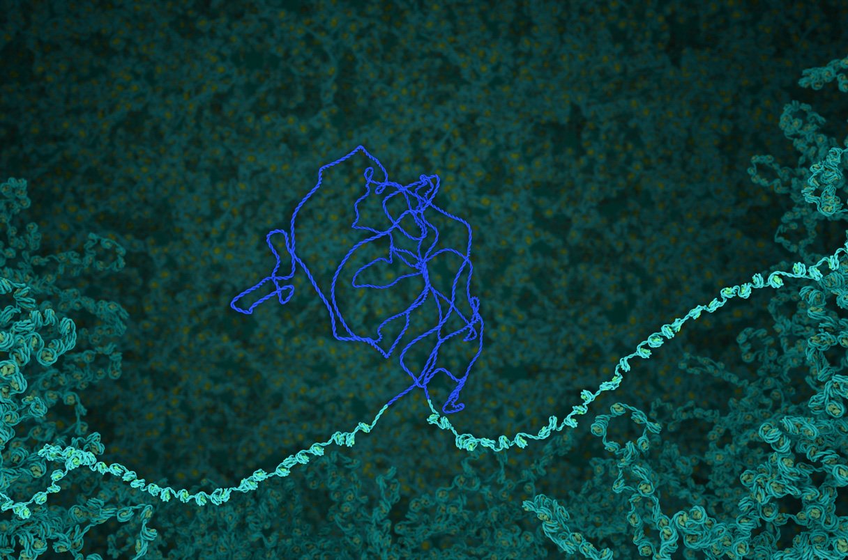 Mapping where HIV hides its genes suggests cure strategy | EATG