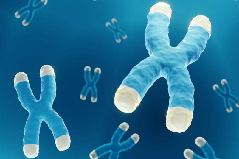 Accelerated aging in HIV: The role of ART, early testing, and ...