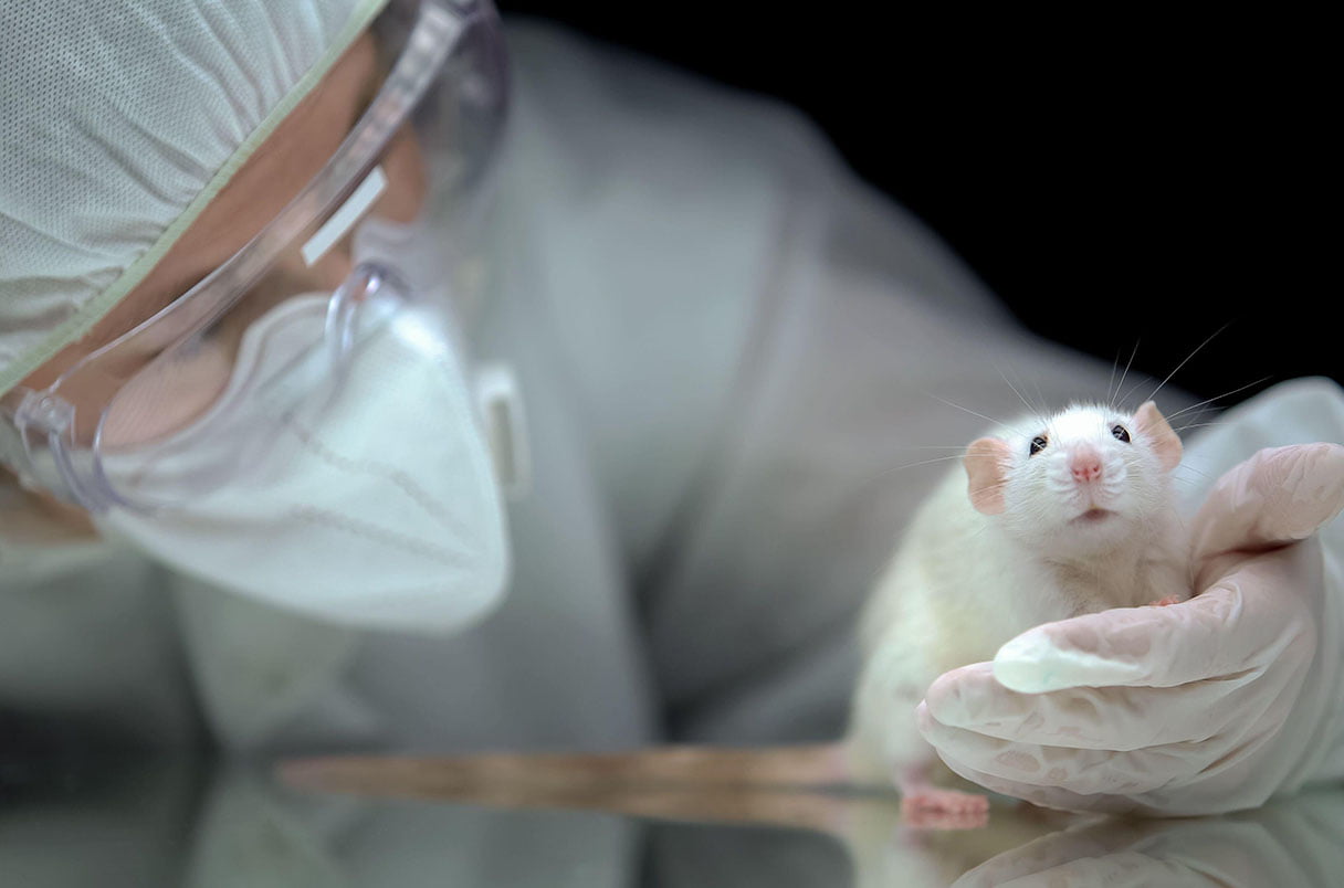 FDA no longer needs to require animal tests before human drug trials | EATG