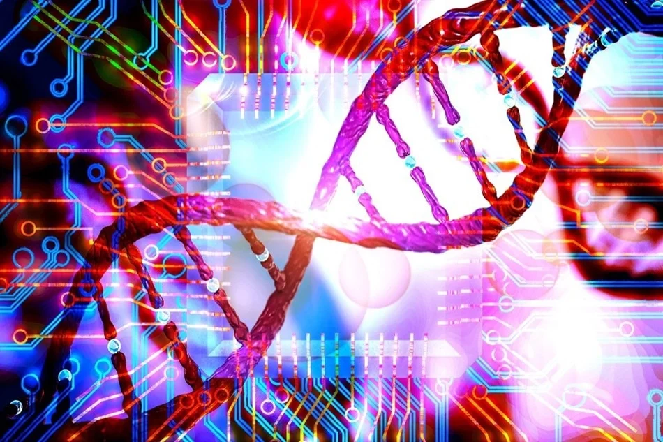 An automated bioinformatics pipeline to monitor HIV data in real-time ...