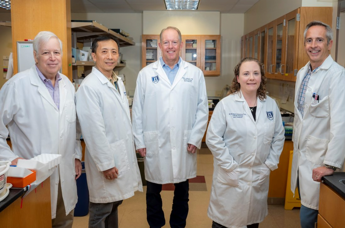 Putting the brakes on accelerated aging of bone, muscle from HIV ...