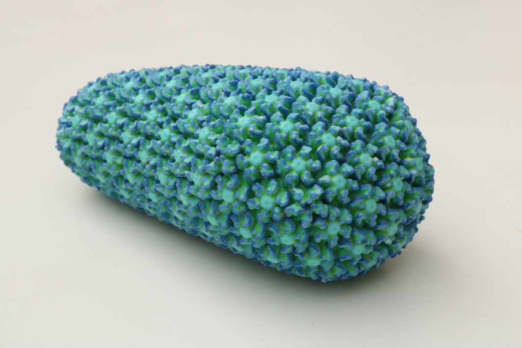 How a novel drug pushes the HIV capsid to breaking point | EATG